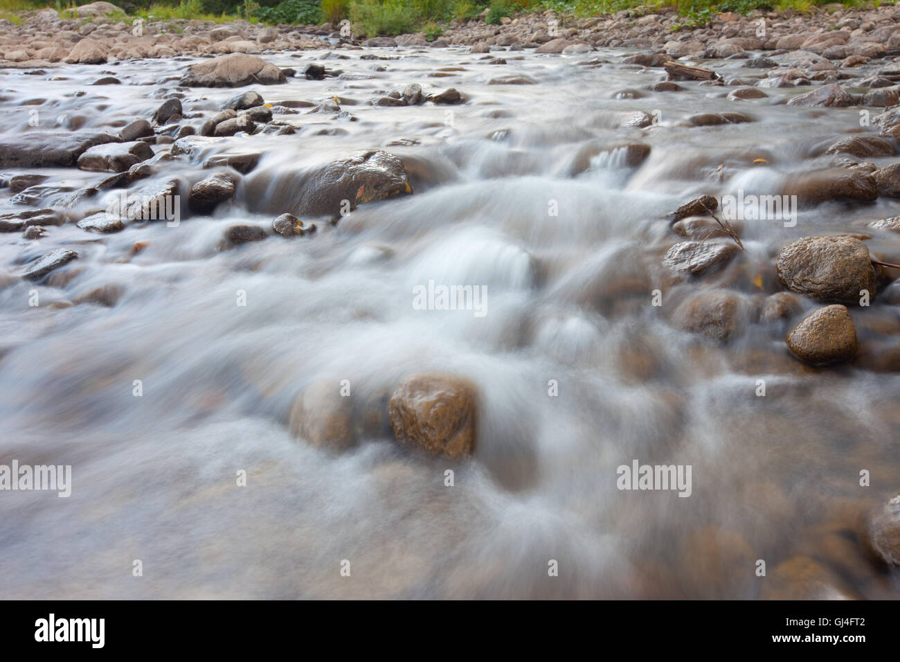 Small wood falls. A summer landscape Stock Photo - Alamy