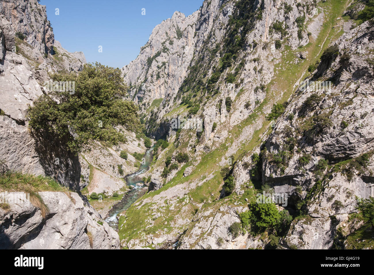 Hiking Cares Gorge in Picos de Europa,Asturias,Spain,Europe Stock Photo ...