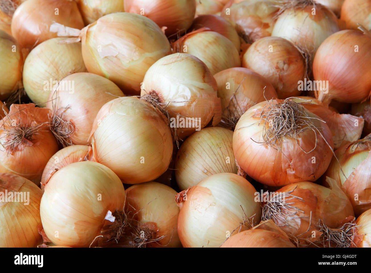 Pile of yellow Onions Stock Photo - Alamy