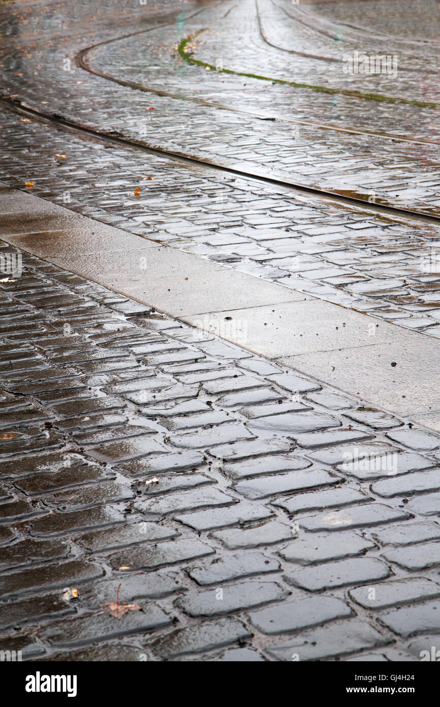 Wet Trolley Tracks Stock Photo - Alamy