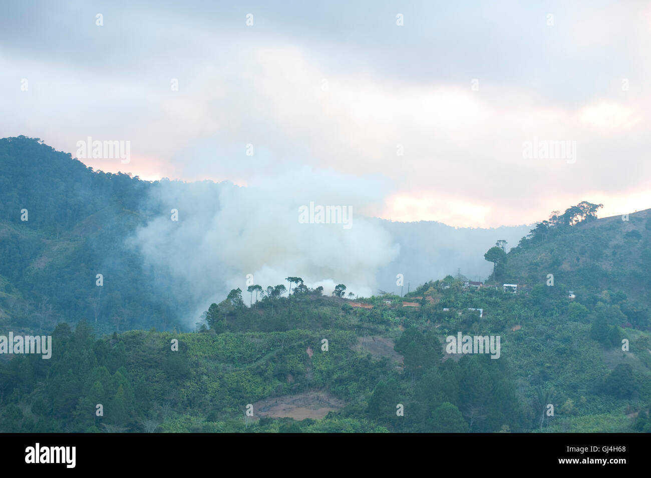 Tropical rainforest destruction hi-res stock photography and images - Alamy