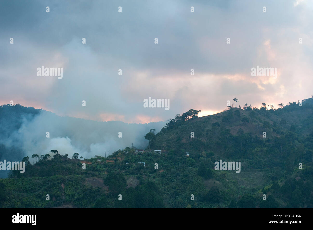 Smoke above Rainforest Madagascar Stock Photo - Alamy