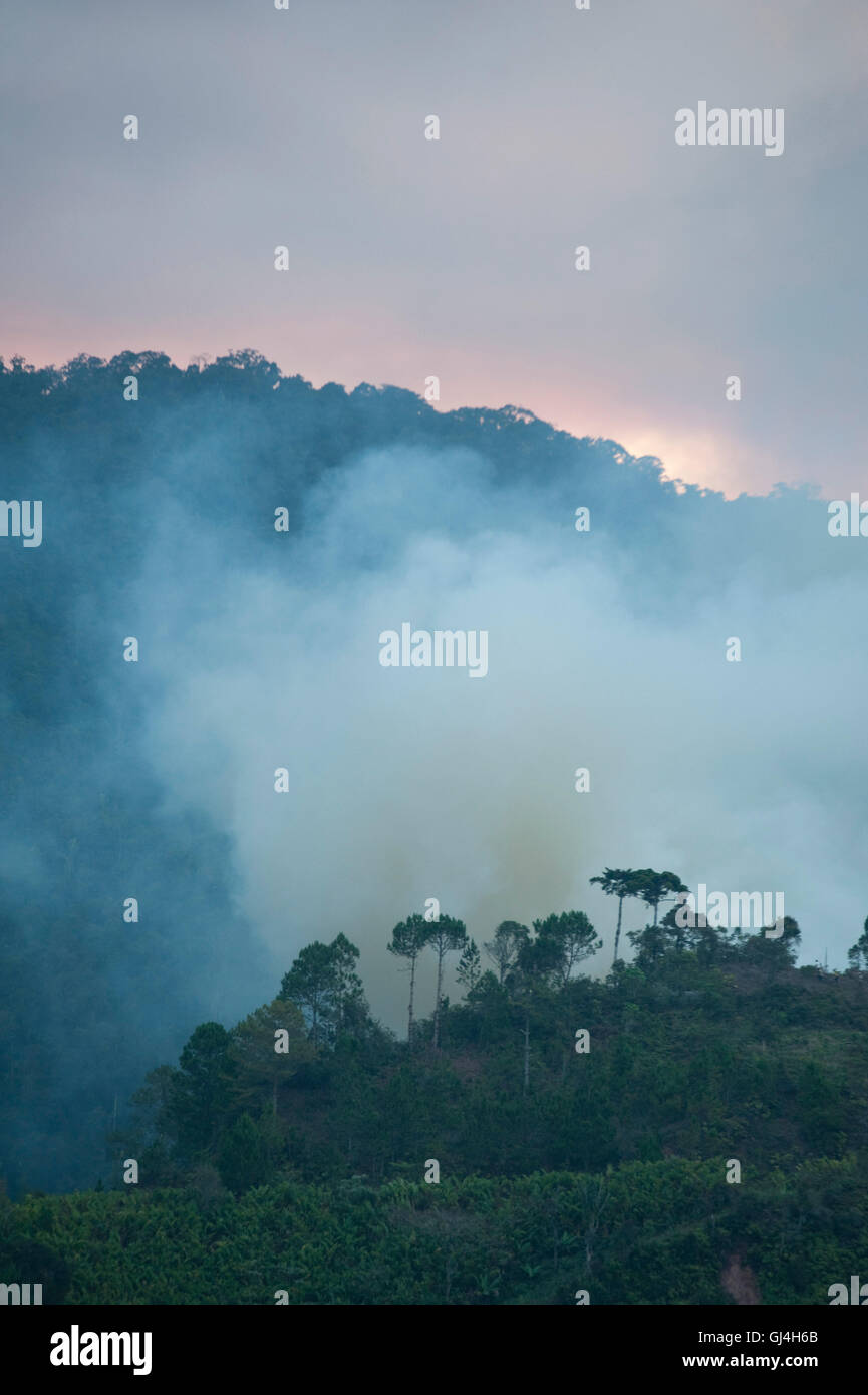 Smoke above Rainforest Madagascar Stock Photo - Alamy