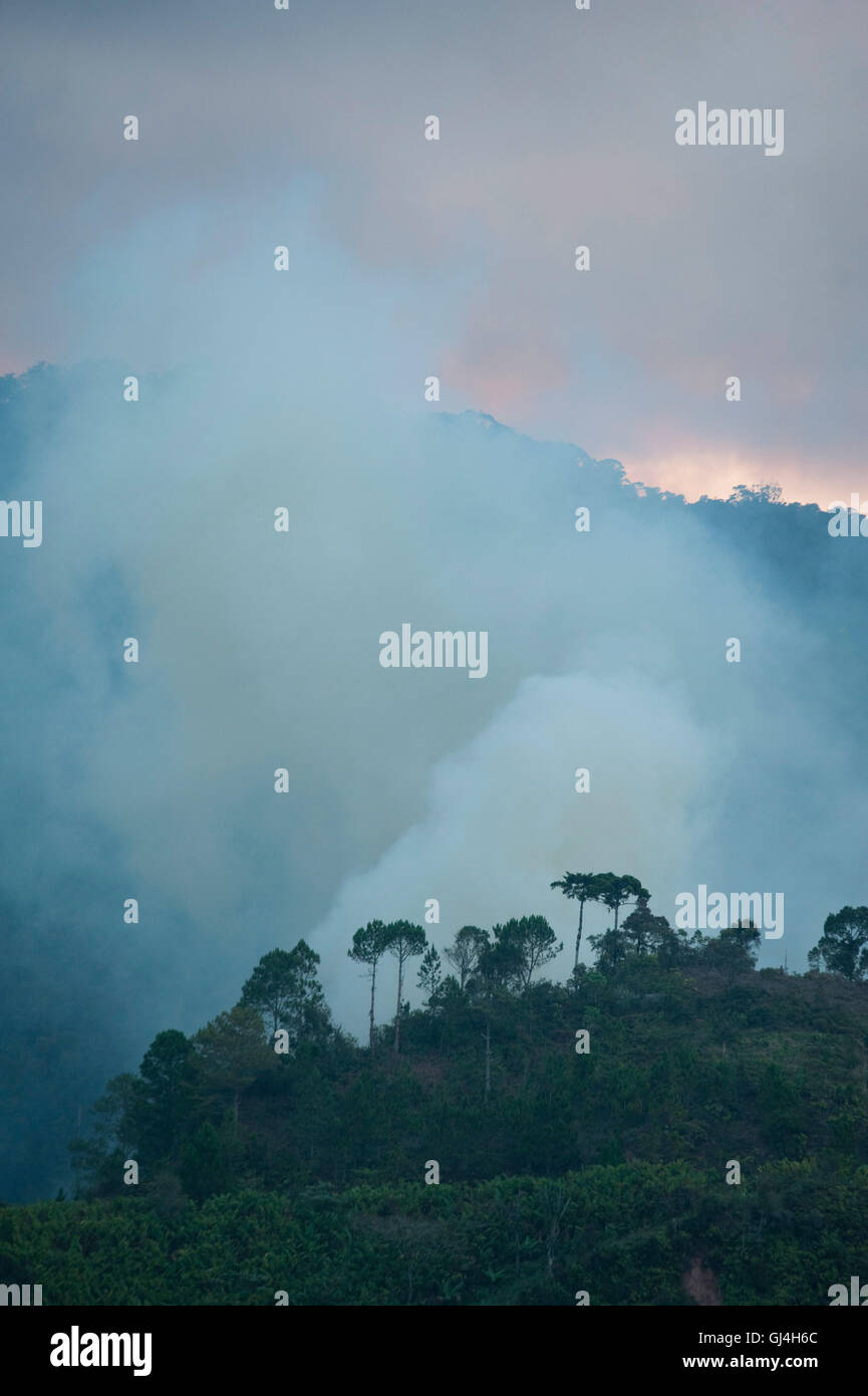 Smoke above Rainforest Madagascar Stock Photo - Alamy