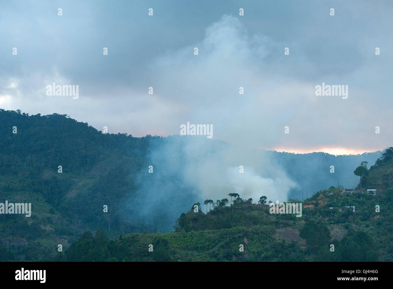 Smoke above Rainforest Madagascar Stock Photo - Alamy