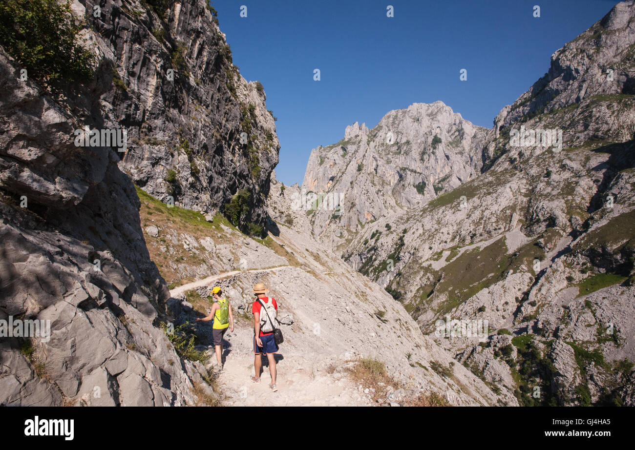 Hiking Cares Gorge in Picos de Europa,Asturias,Spain,Europe Stock Photo ...