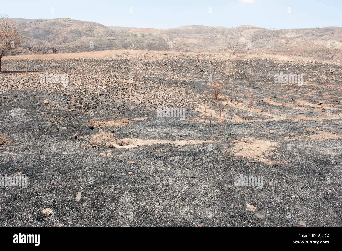 Slash and Burning of Field Madagascar Stock Photo - Alamy