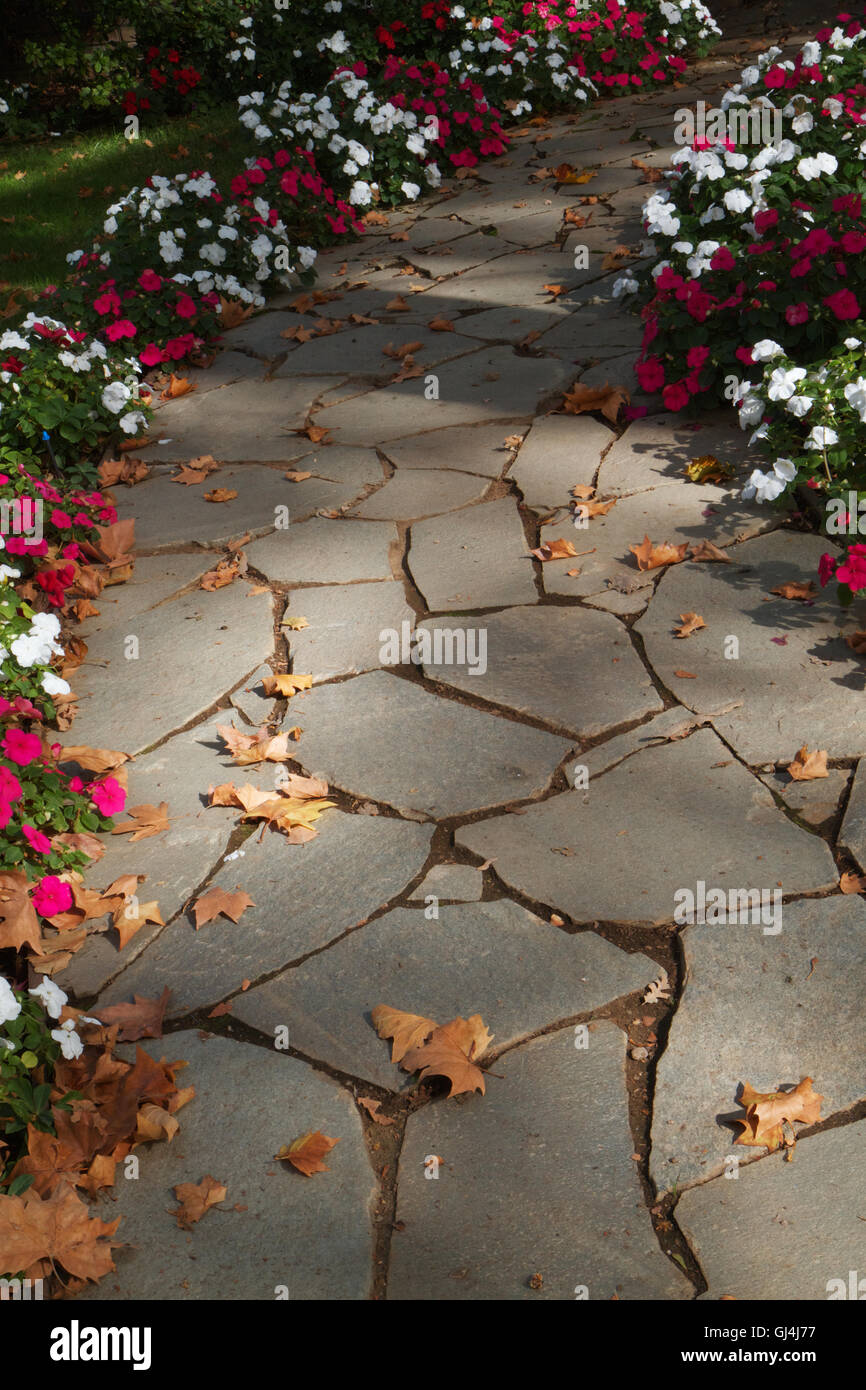 Flower bordered rock path Stock Photo - Alamy