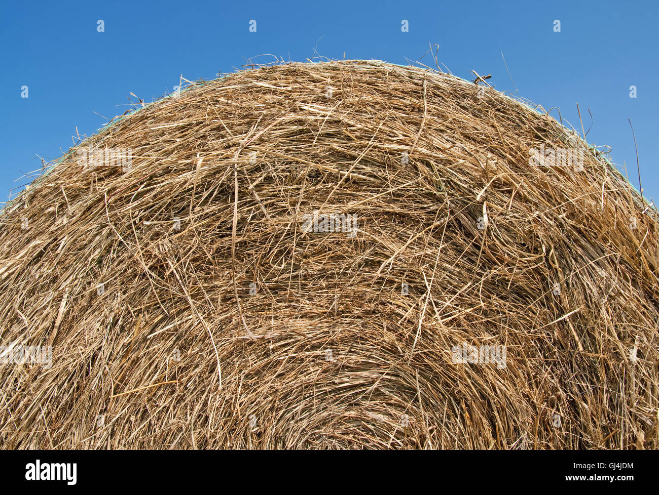 Bale of hay over blue sky Stock Photo - Alamy