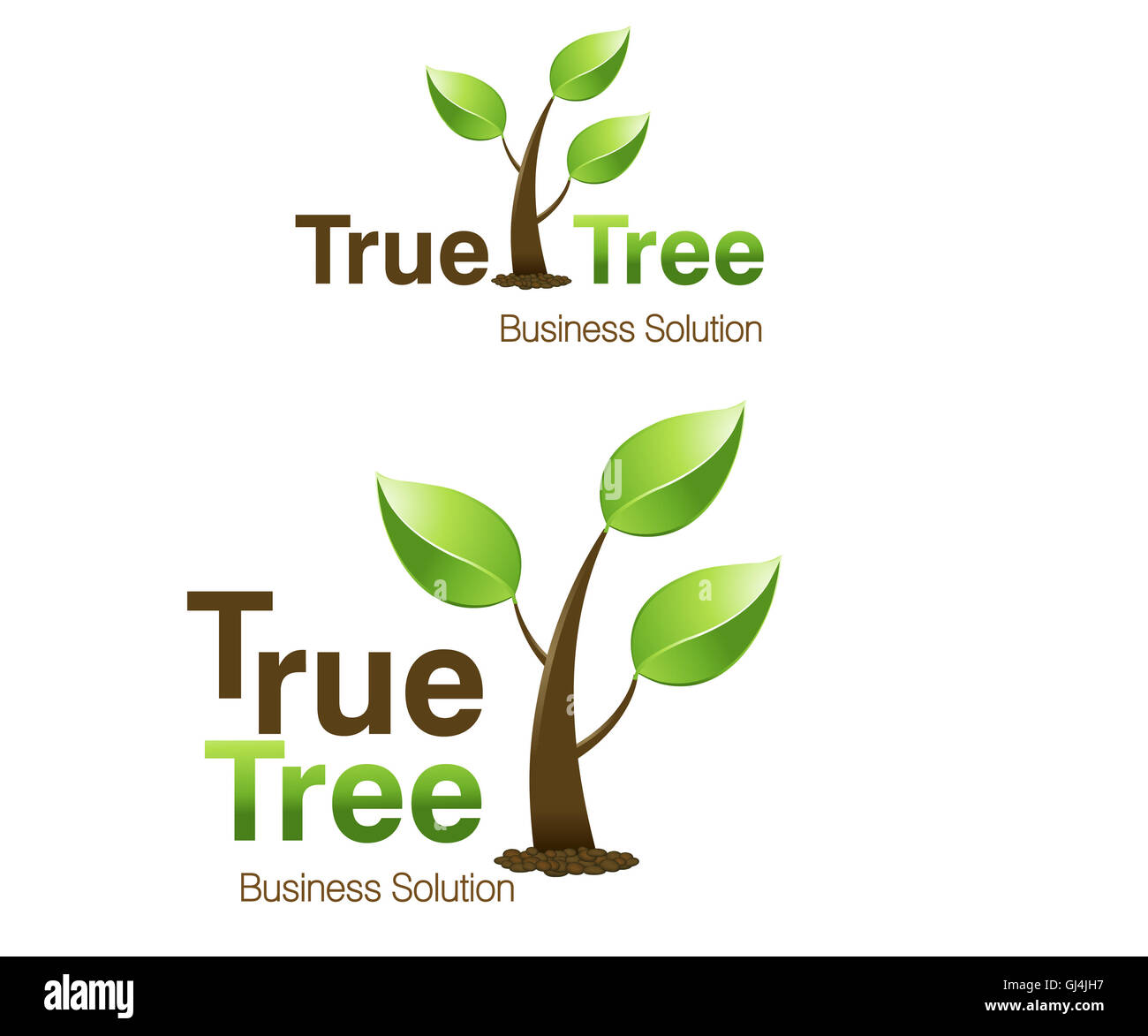True Tree Logo Stock Photo - Alamy
