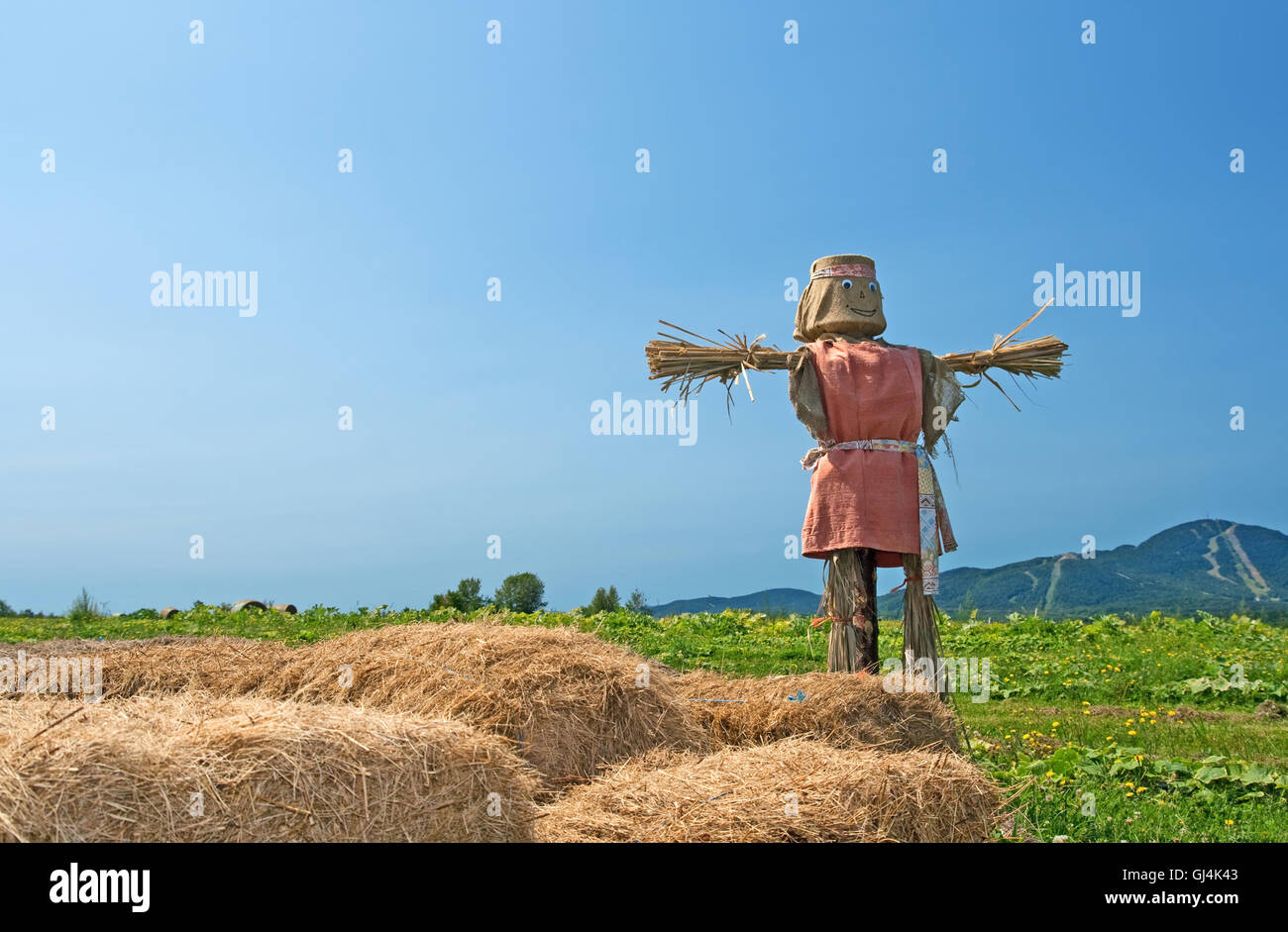 Scarecrow on the farmland Stock Photo - Alamy