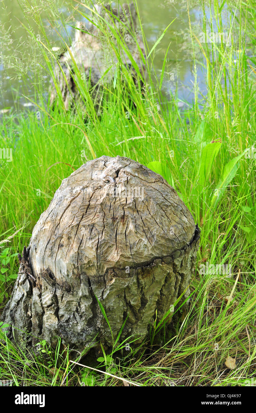 Stub background hi-res stock photography and images - Alamy