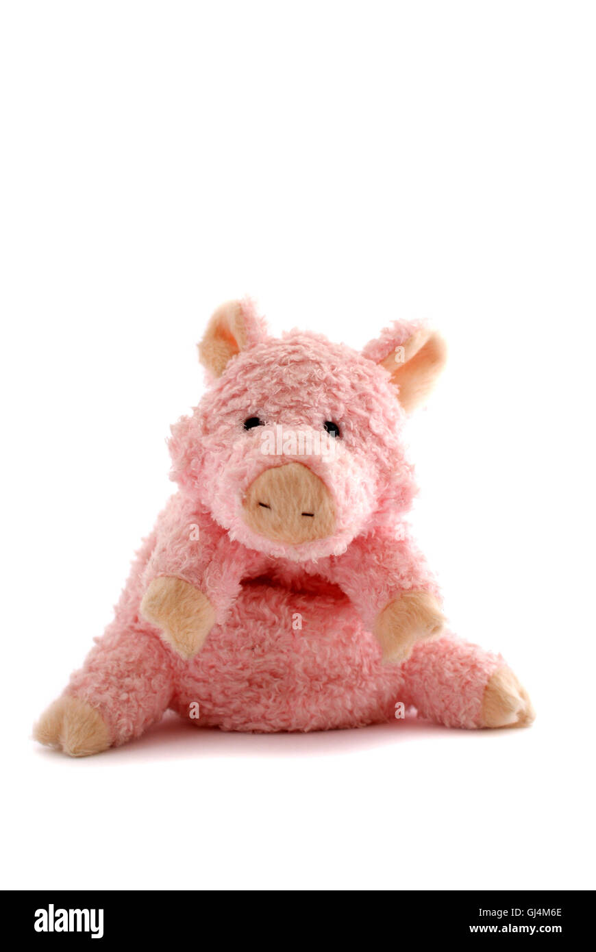 pink stuffed piglet Stock Photo - Alamy