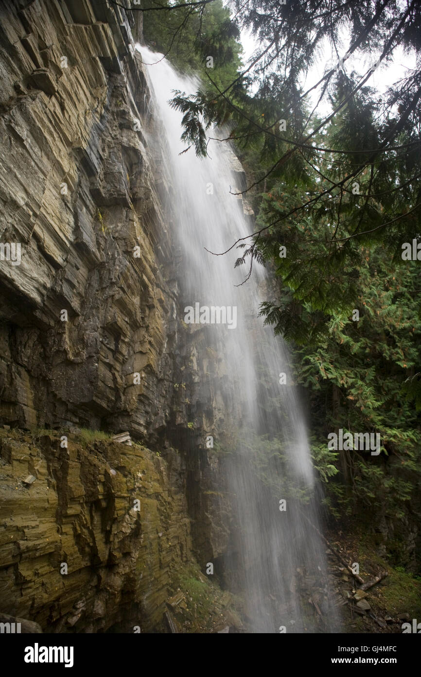 Falling forest hi-res stock photography and images - Alamy
