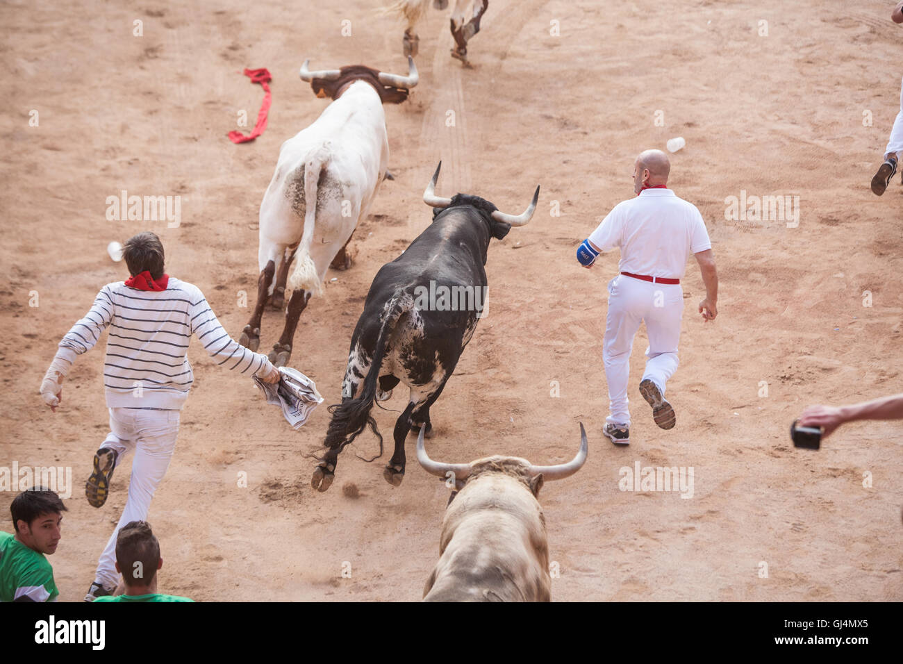 Famous bull running through streets of Pamplona,Spain.July festival ...