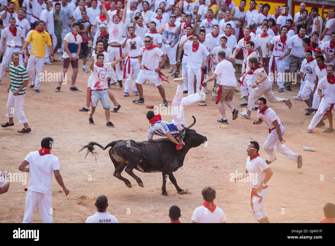 Famous bull running through streets of Pamplona,Spain.July festival ...