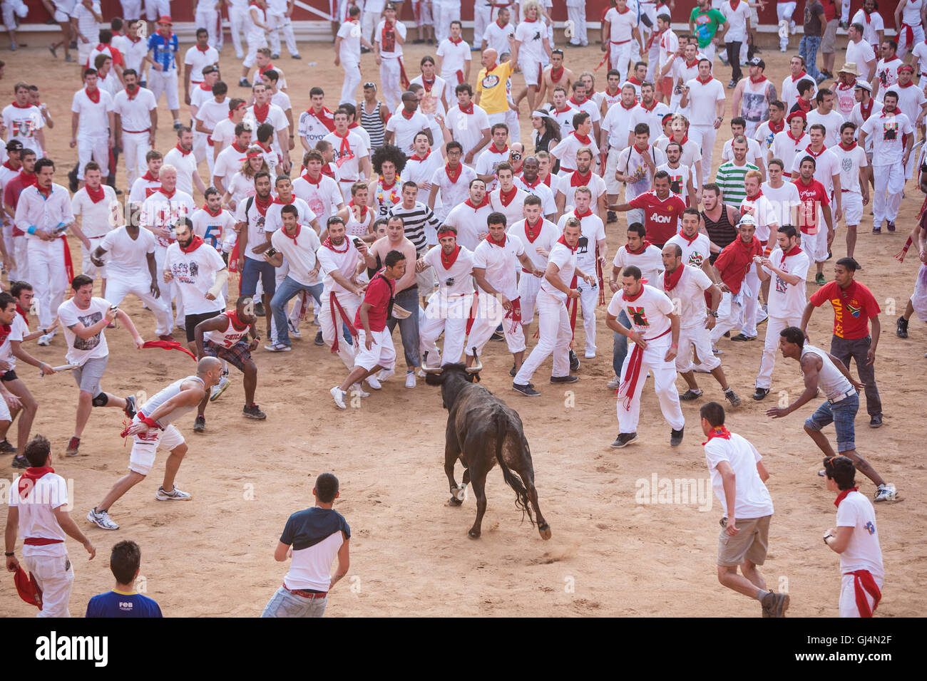 Famous bull running through streets of Pamplona,Spain.July festival ...