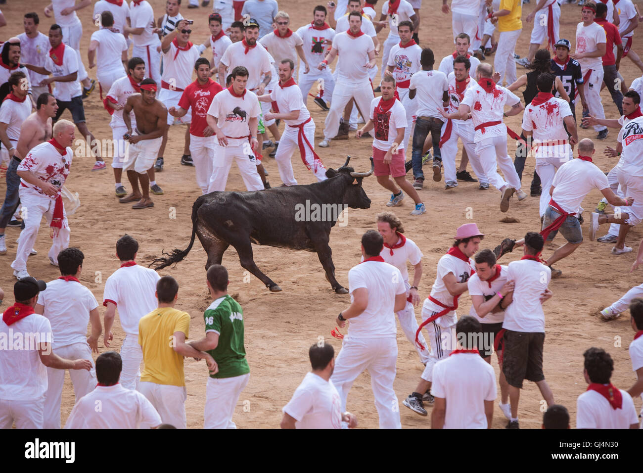 Famous bull running through streets of Pamplona,Spain.July festival ...