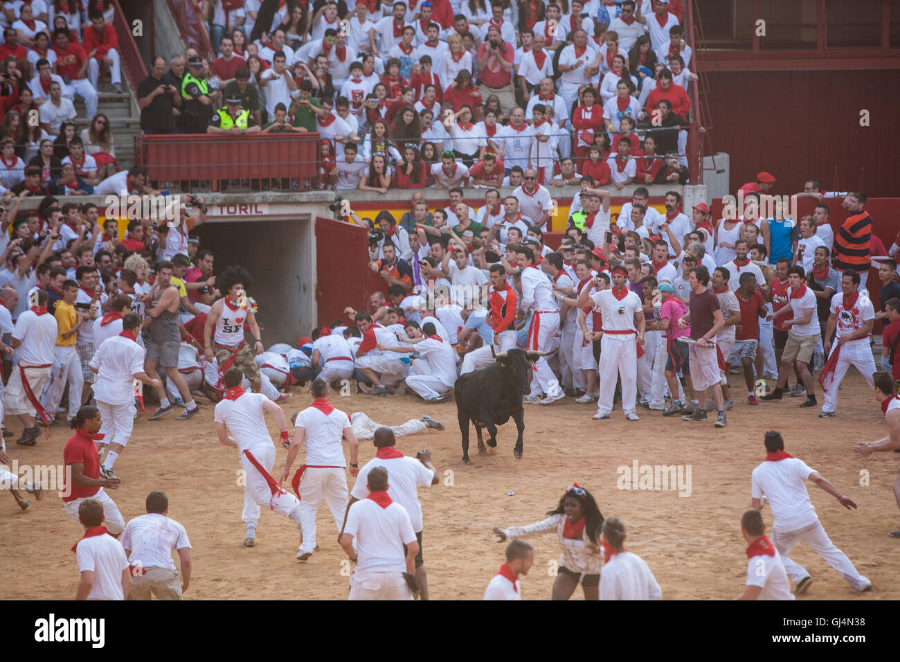 Famous bull running through streets of Pamplona,Spain.July festival ...