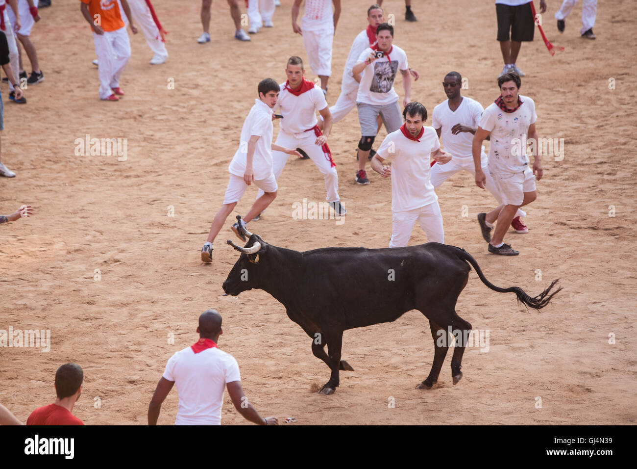 Famous bull running through streets of Pamplona,Spain.July festival ...