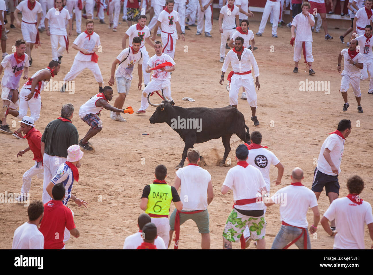 Famous bull running through streets of Pamplona,Spain.July festival ...