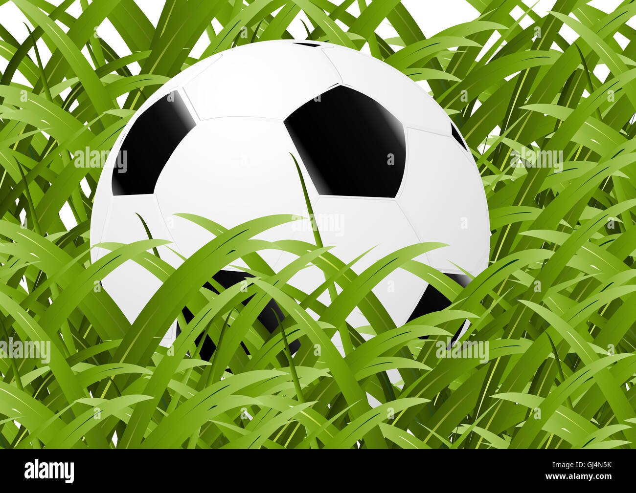 Football fifa world cup stage grass hi-res stock photography and images ...