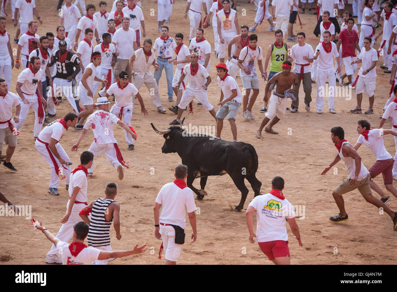 Famous bull running through streets of Pamplona,Spain.July festival ...