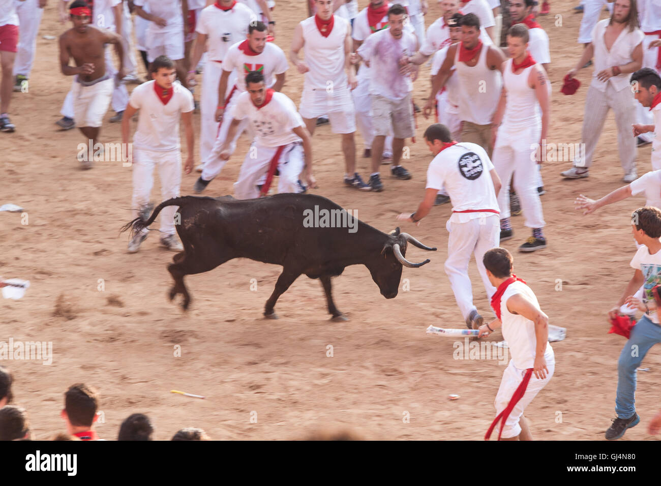 Famous bull running through streets of Pamplona,Spain.July festival ...