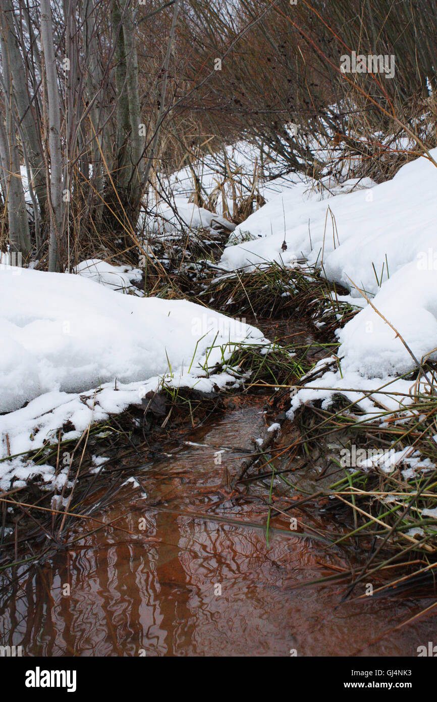 Spring in Finland Stock Photo - Alamy