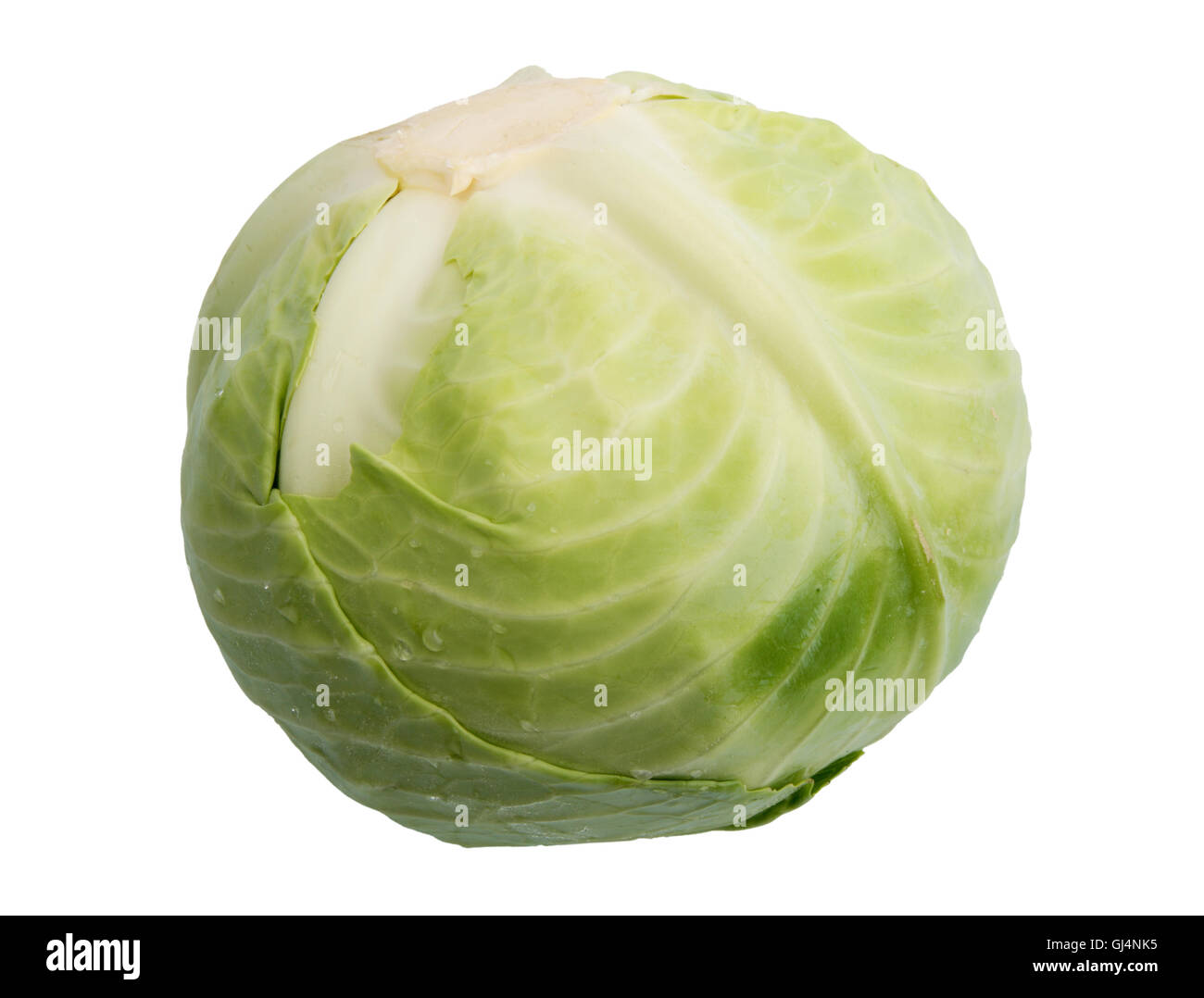 Single green cabbage with dew Stock Photo - Alamy