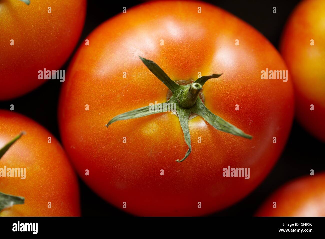 Bright red tomato Stock Photo - Alamy