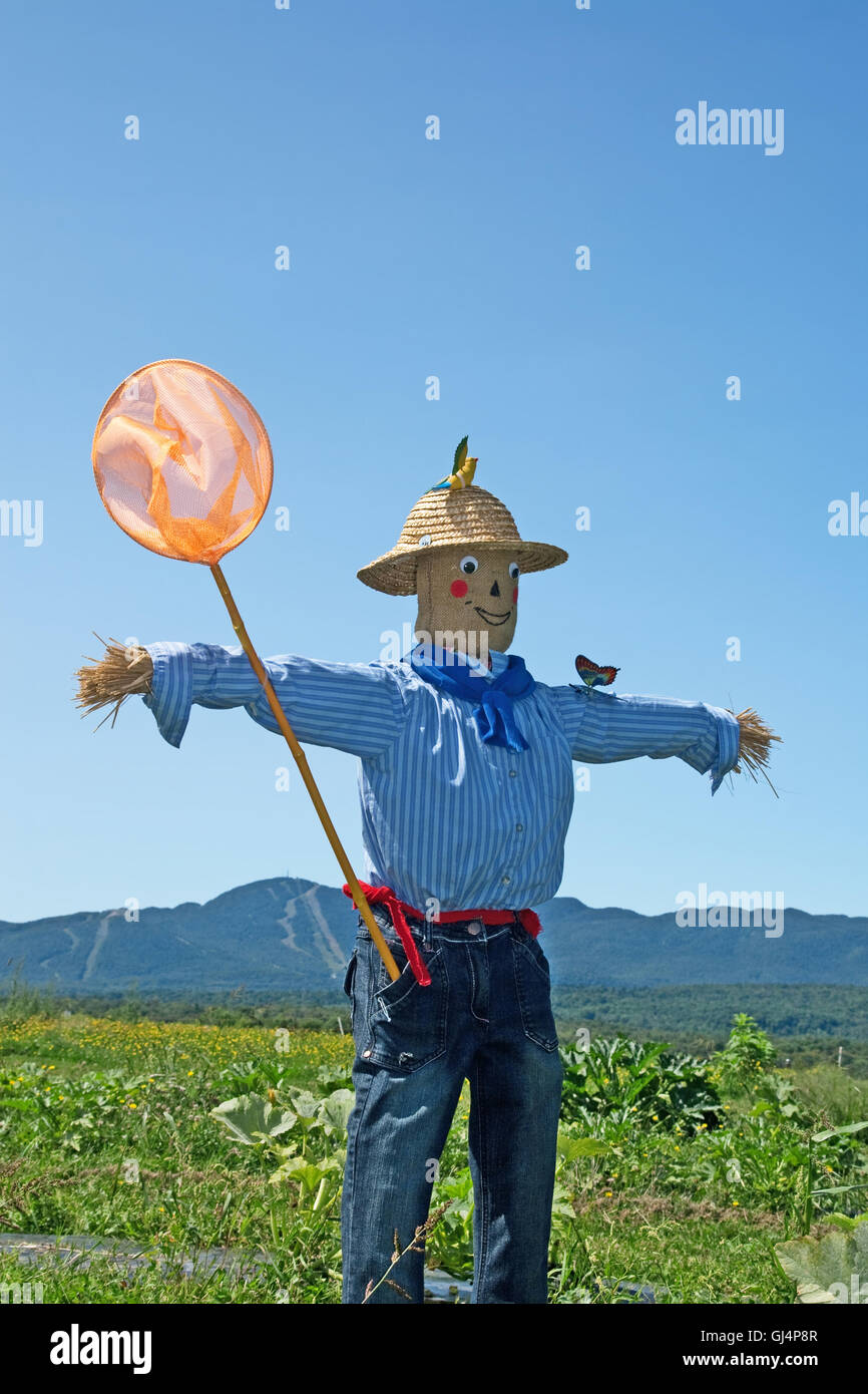 Scarecrow blue sky hi-res stock photography and images - Alamy