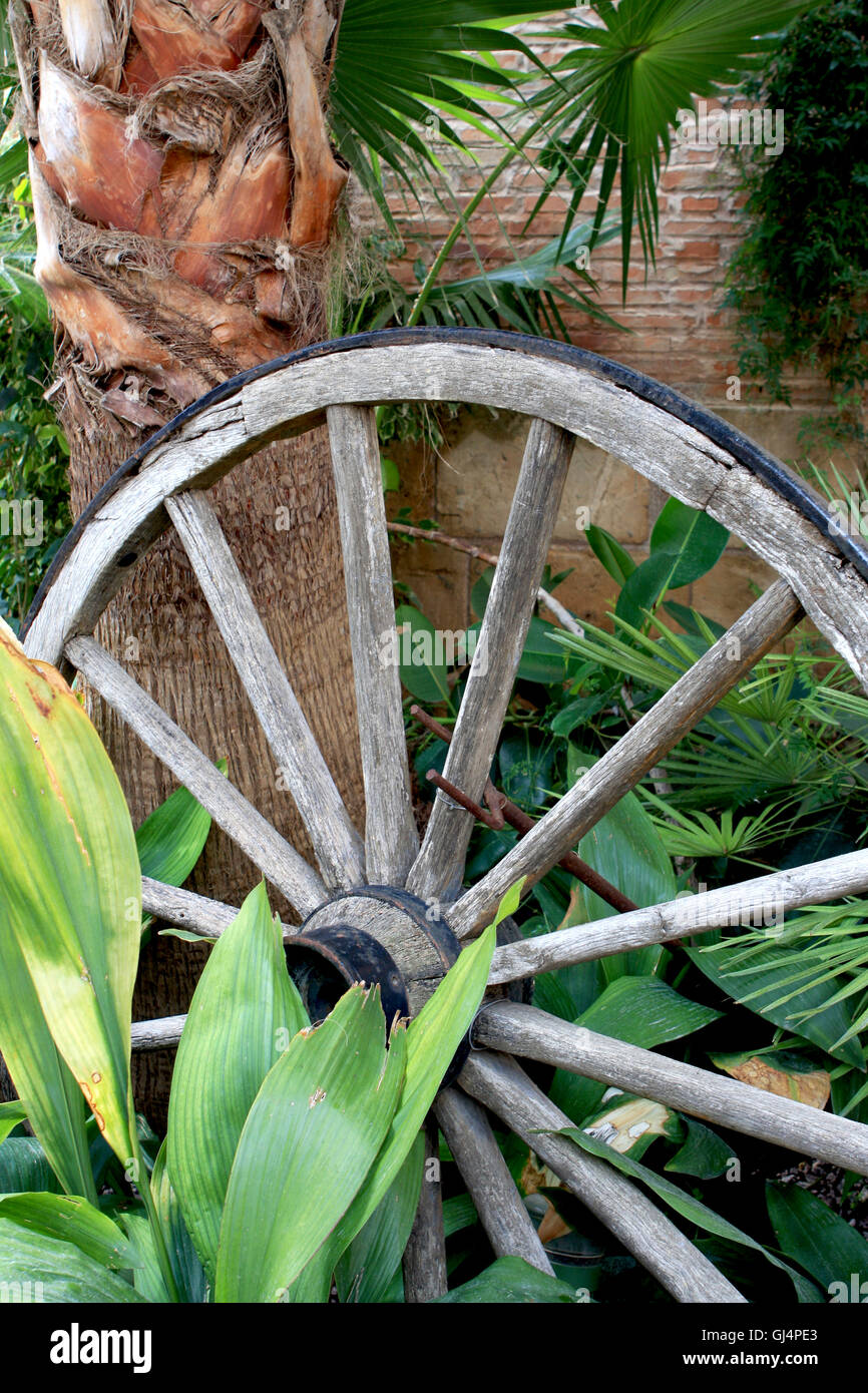 Wheel in the garden Stock Photo - Alamy