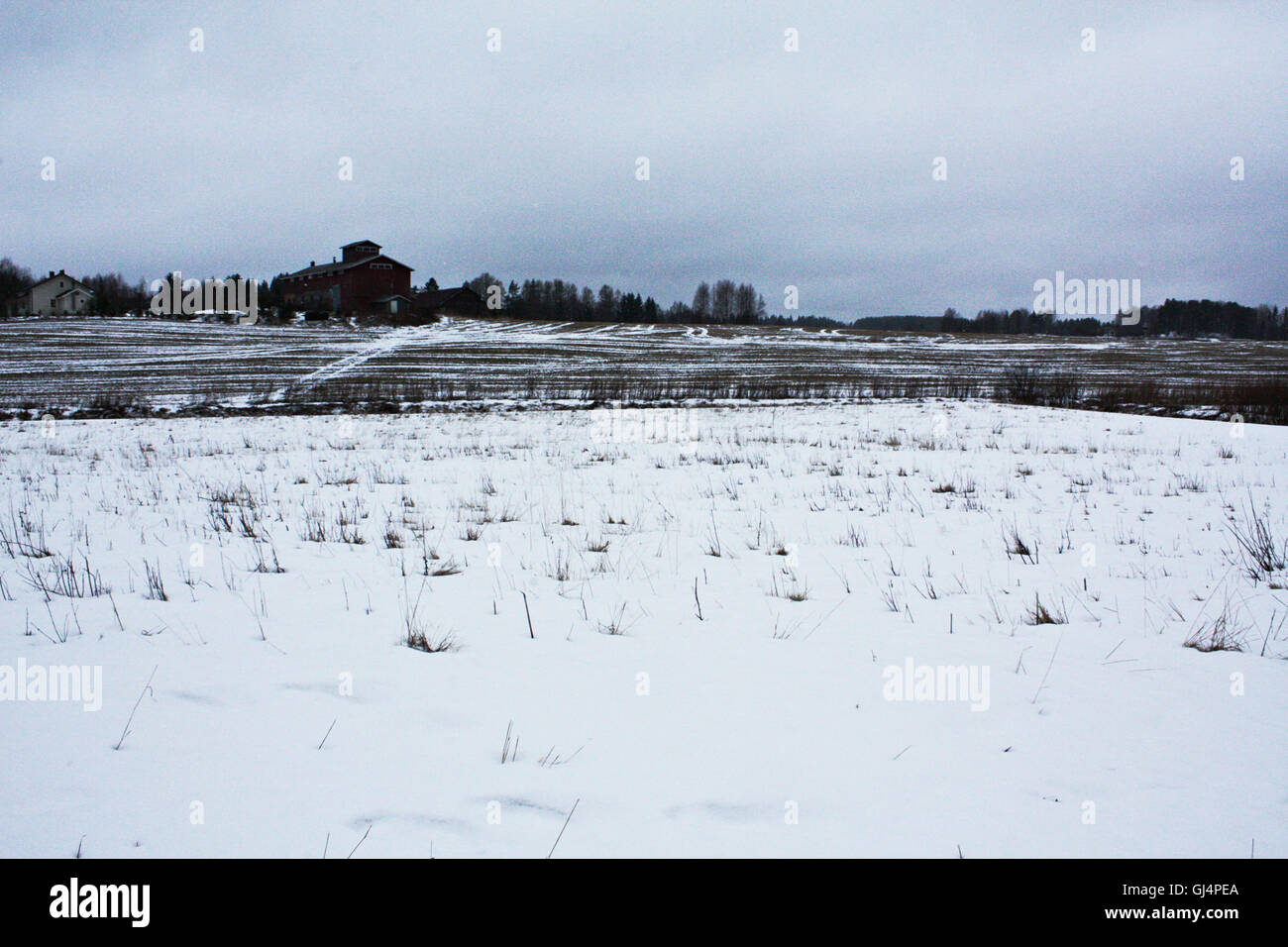 Spring in Finland Stock Photo - Alamy