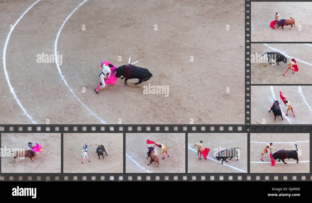 Bullfight - the one of the most controversial events in the world Stock ...