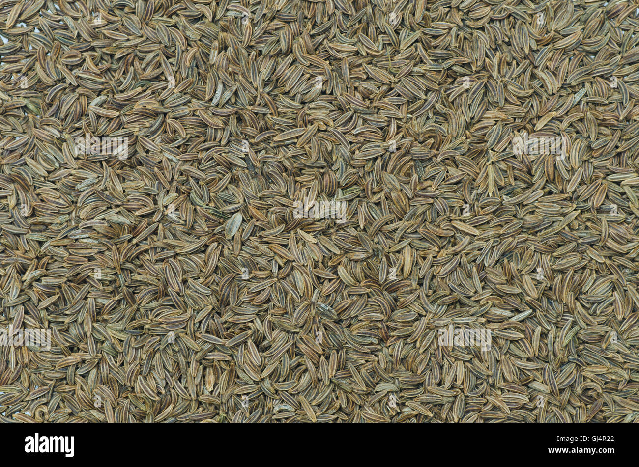 dried cumin spice background texture Stock Photo - Alamy