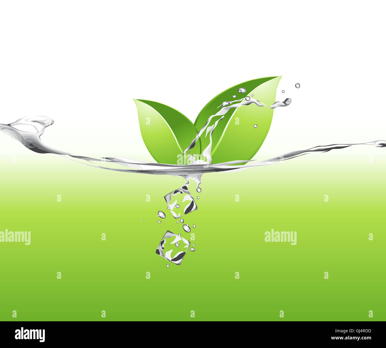 Leaf floating water vector hi-res stock photography and images - Alamy