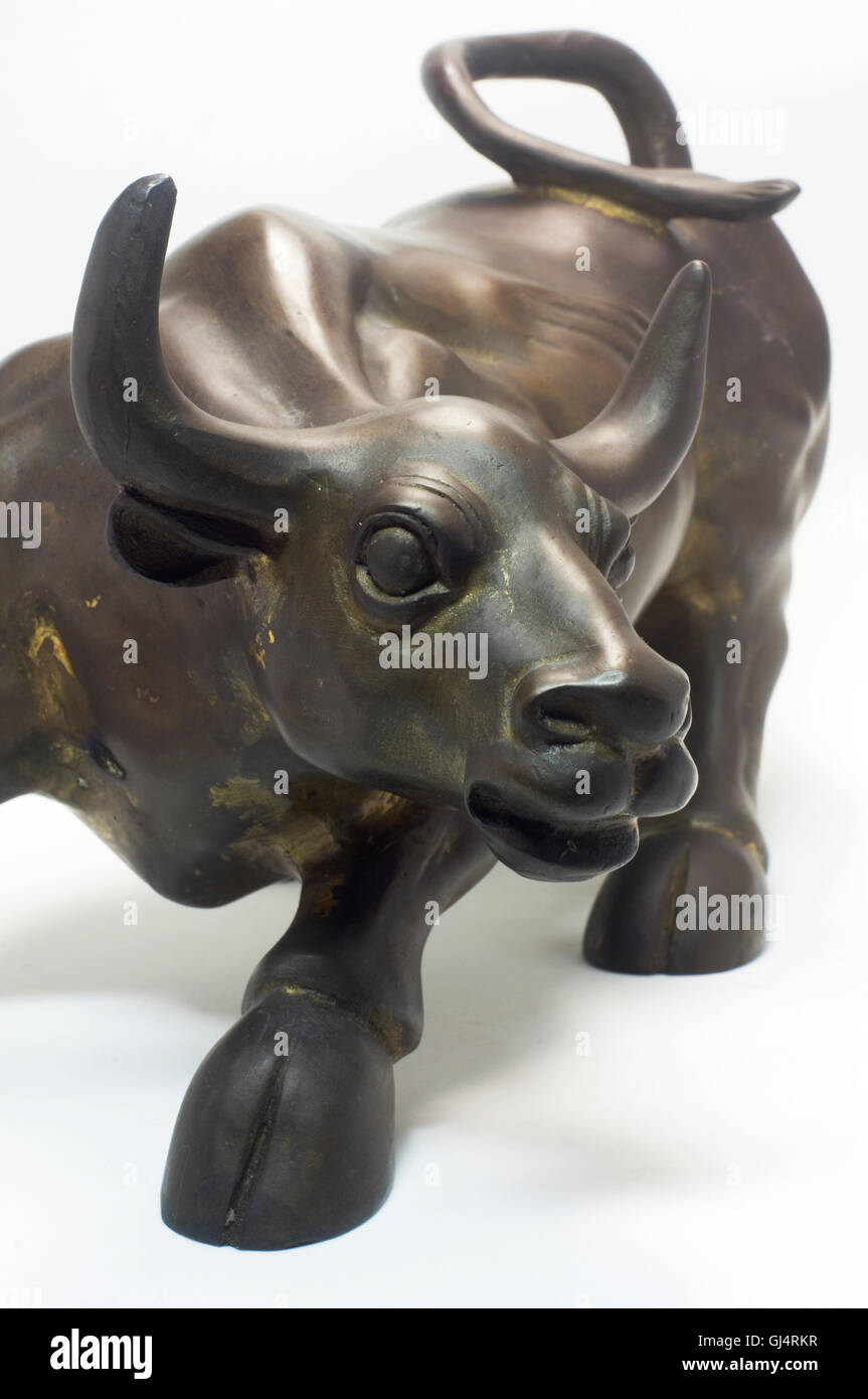 Isolated bull hi-res stock photography and images - Alamy