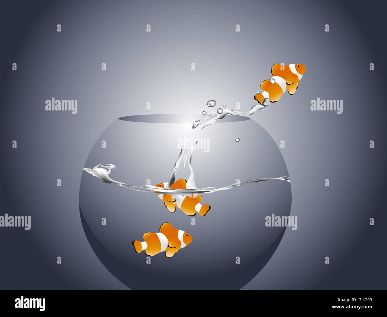 Goldfish bowl jumping hi-res stock photography and images - Alamy