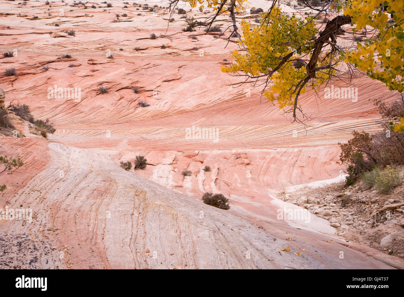 Pink ripples in the rock Stock Photo - Alamy