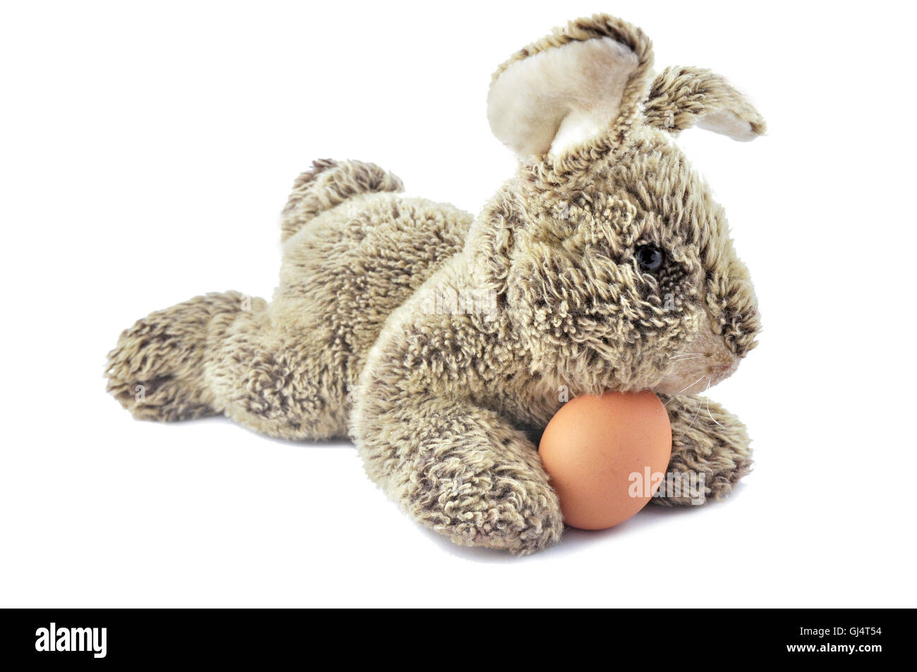 Grey rabbit egg Stock Photo - Alamy