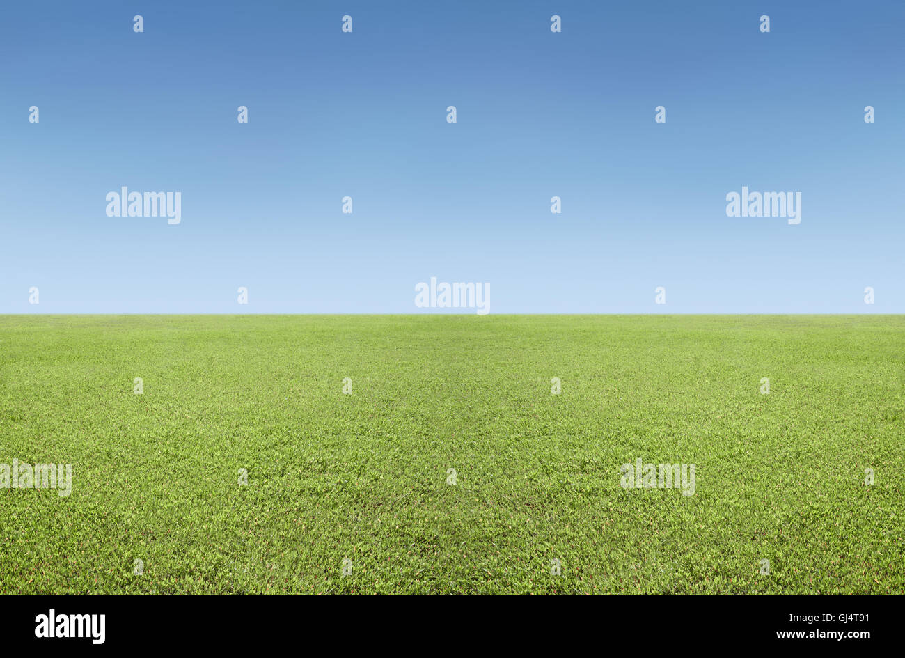 Grass and sky Stock Photo - Alamy