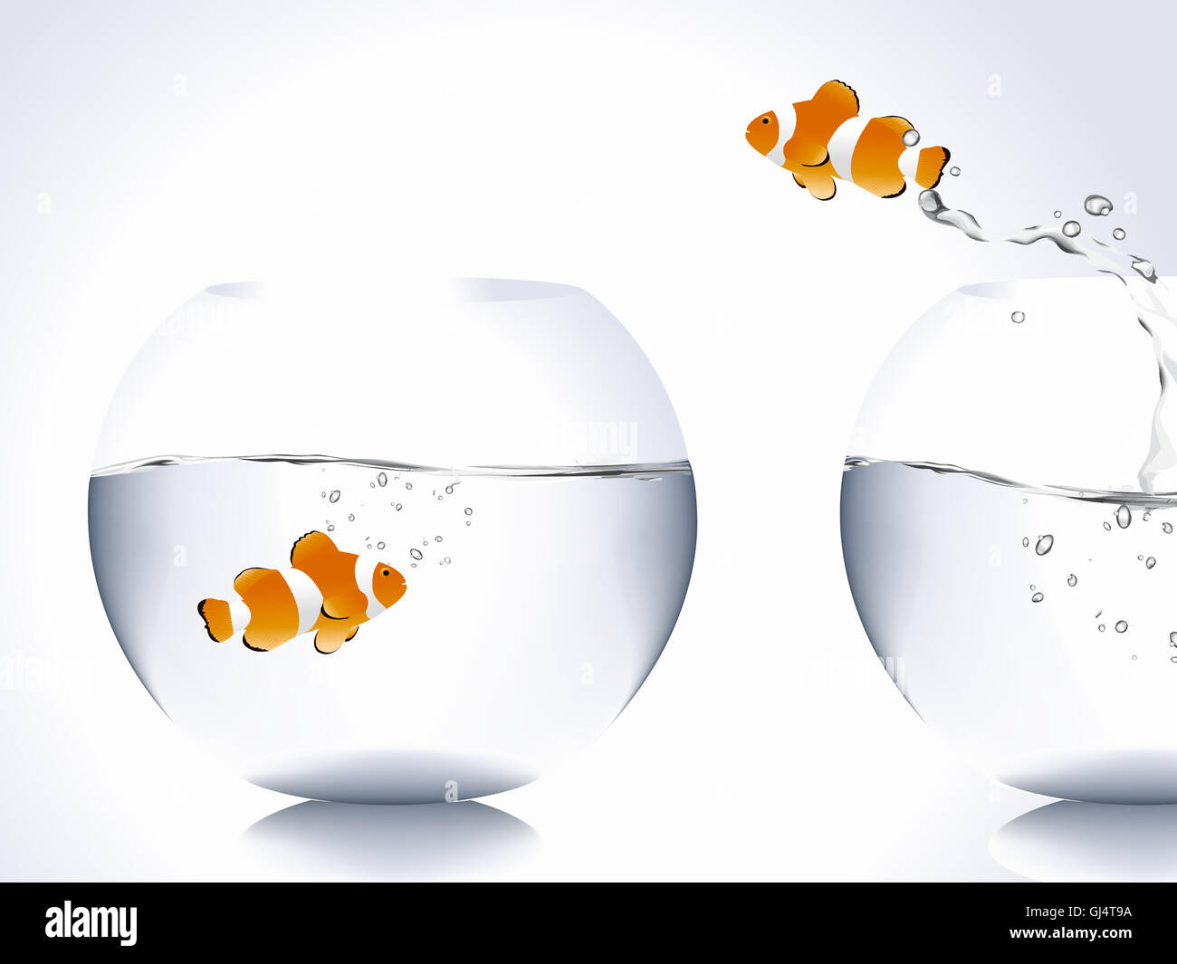 Empty fish bowl hi-res stock photography and images - Alamy