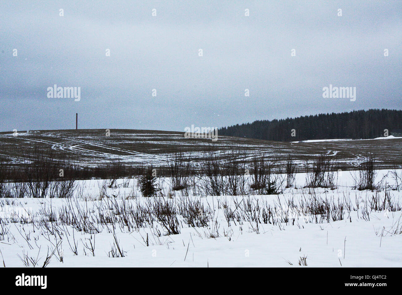 Spring in Finland Stock Photo - Alamy