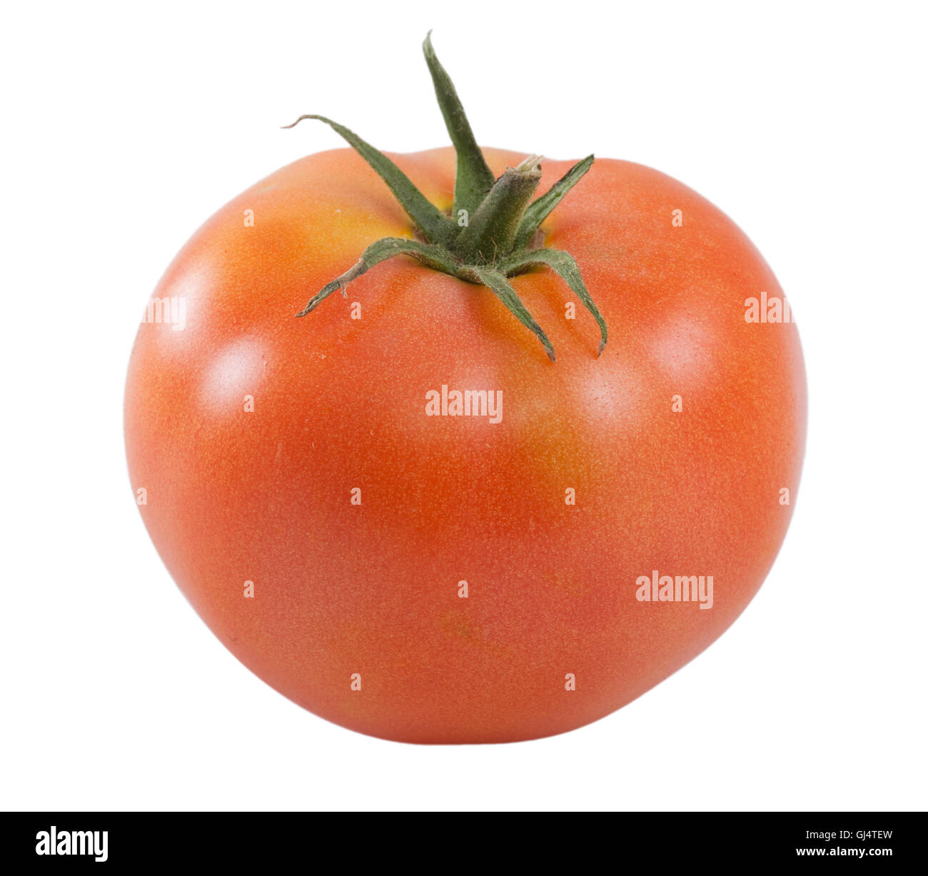 One tomato isolated Stock Photo - Alamy
