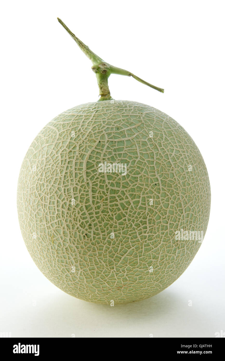 Green organic honeydew melon hi-res stock photography and images - Alamy