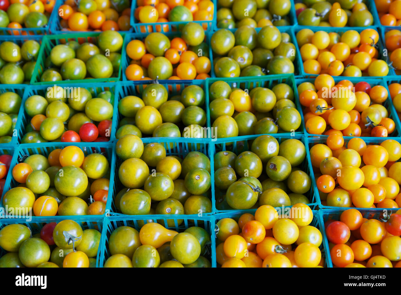 Multi-colored cherry tomatoes Stock Photo - Alamy