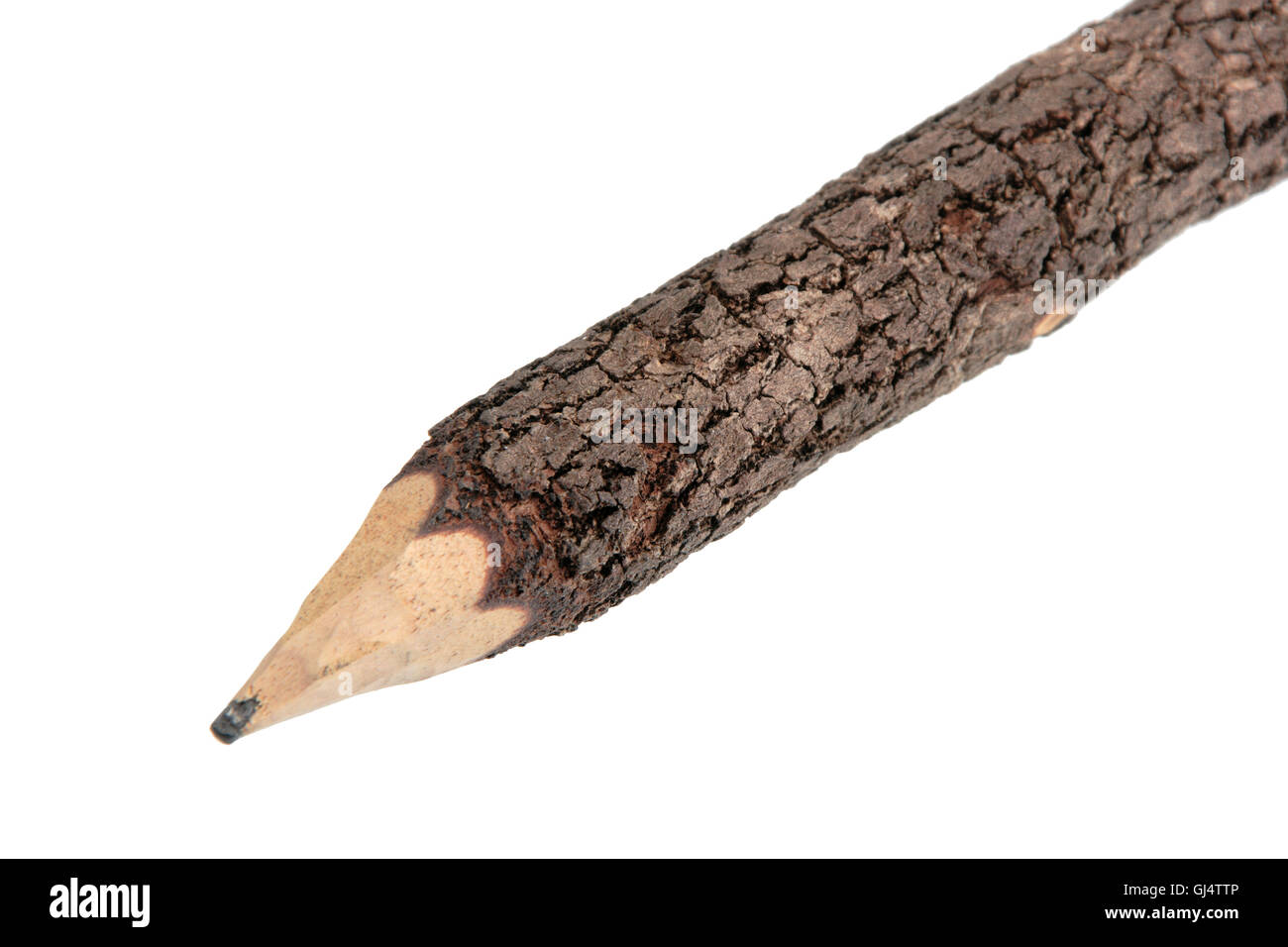 Parts Of A Wooden Pencil at Ellen Franklin blog