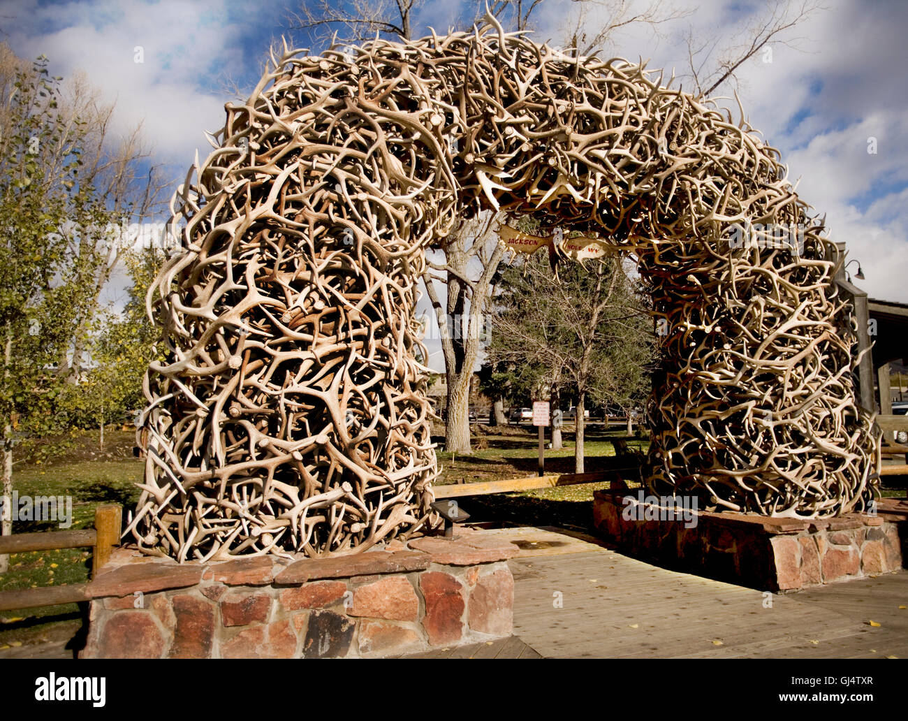 Stack of antlers hi-res stock photography and images - Alamy
