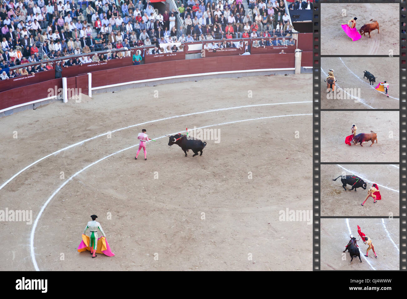 Bullfight - the one of the most controversial events in the world Stock ...